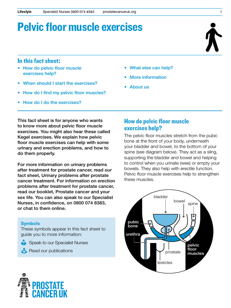 Pelvic Floor Exercises for Men | PDF | Urinary Incontinence | Prostate