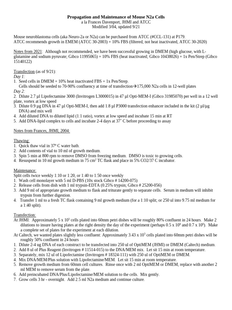 N2a Cell Maintenance 3 04 | PDF | Biology | Life Sciences
