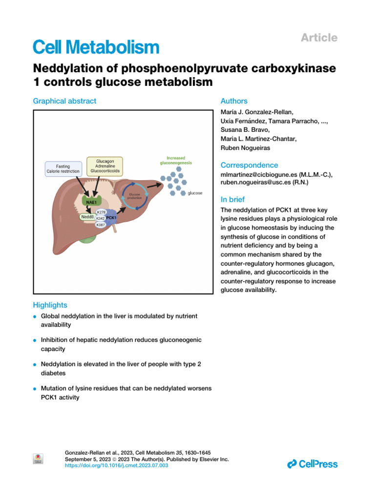 Neddylation-of-phosphoenolpyruvate-carboxykinase-1 | PDF | Metabolism ...