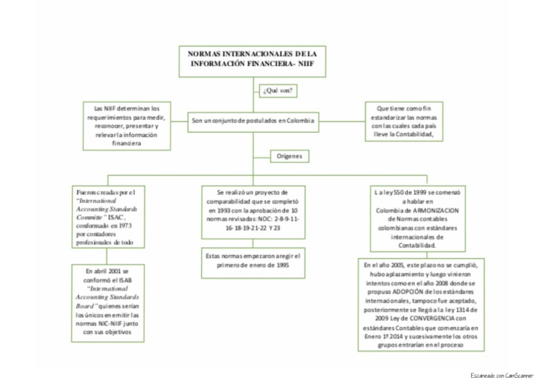 Mapa Conceptual NIF'S | PDF