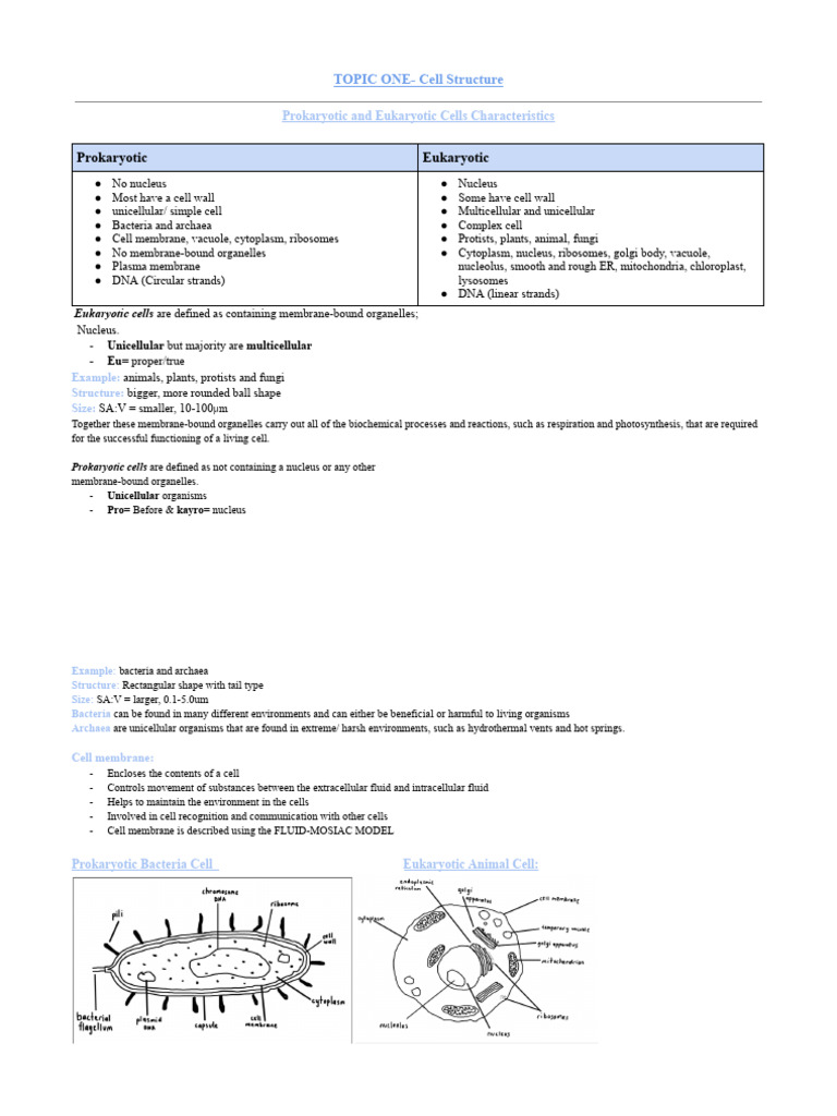 Biology Module 1 - Cells As The Basis of Life | PDF | Cell Membrane ...