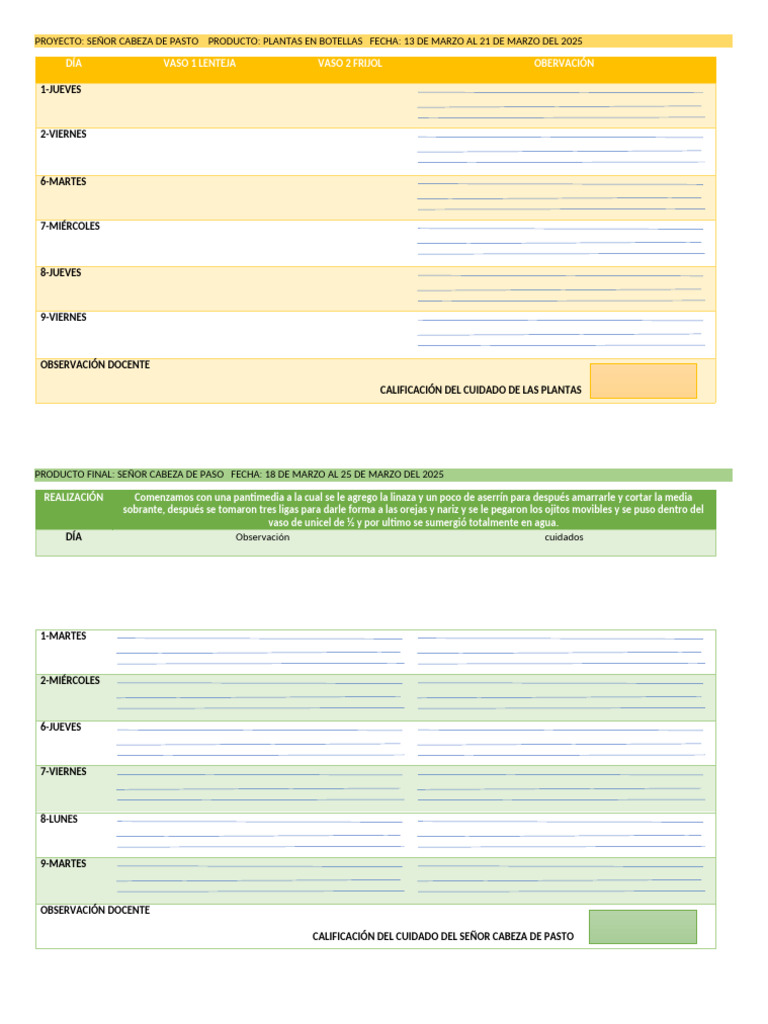 Tabla para Evaluar La Obervacion Del Proyecto El Señor Cabeza de Pasto ...