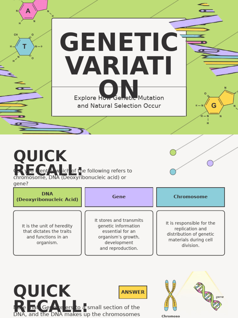 Genetic Variation Education Presentation in Green Beige Style | PDF ...