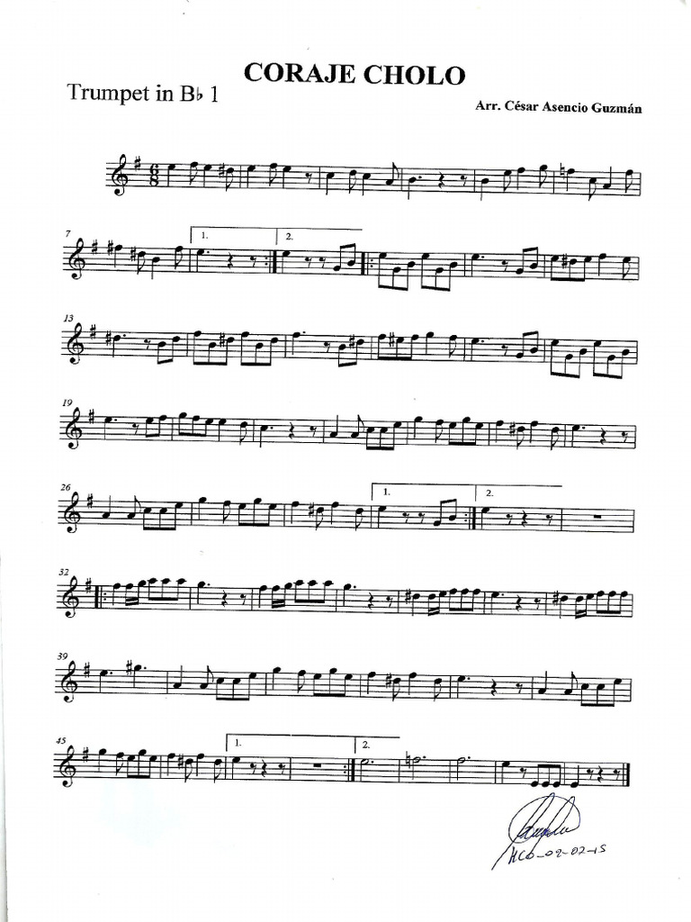 Coraje Cholo PDF 3 | PDF