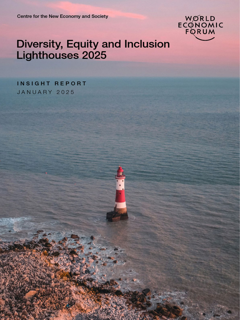Diversity, Equity & Inclusion Insights 2025 | PDF | Performance ...