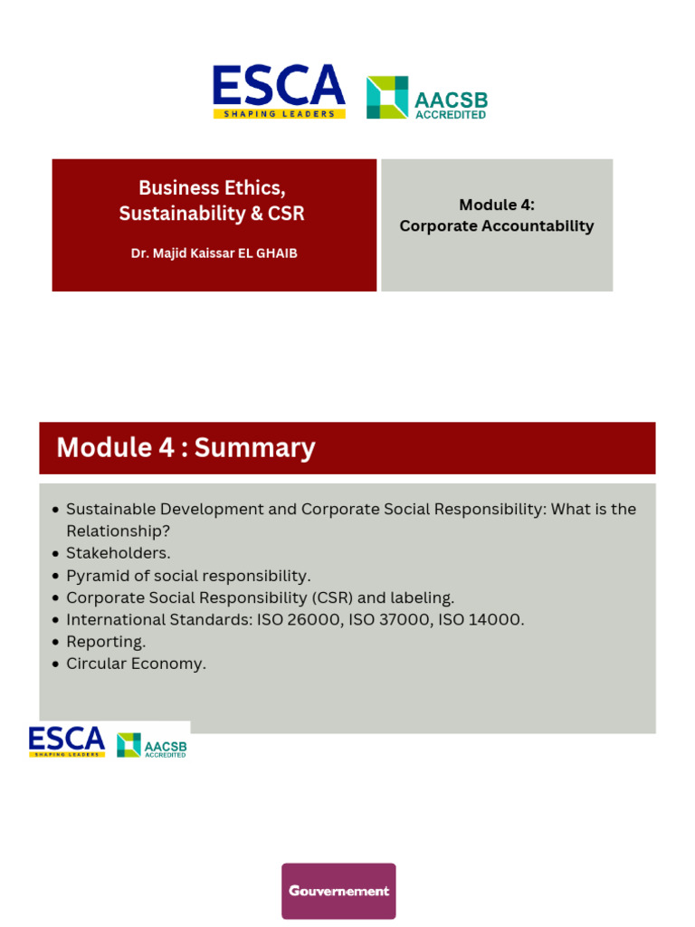 Module 4-Corporate Accountability | PDF | Corporate Social Responsibility | Sustainability