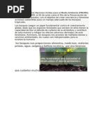 Técnicas de Irrigación Incaicas | PDF | Imperio Inca | Agua