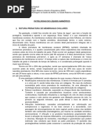 Polidramnio e Oligodramnio: Diagnóstico e Tratamento | PDF | Placenta ...