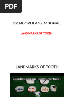 Tooth Landmarks 1 | PDF | Dental Anatomy | Mouth