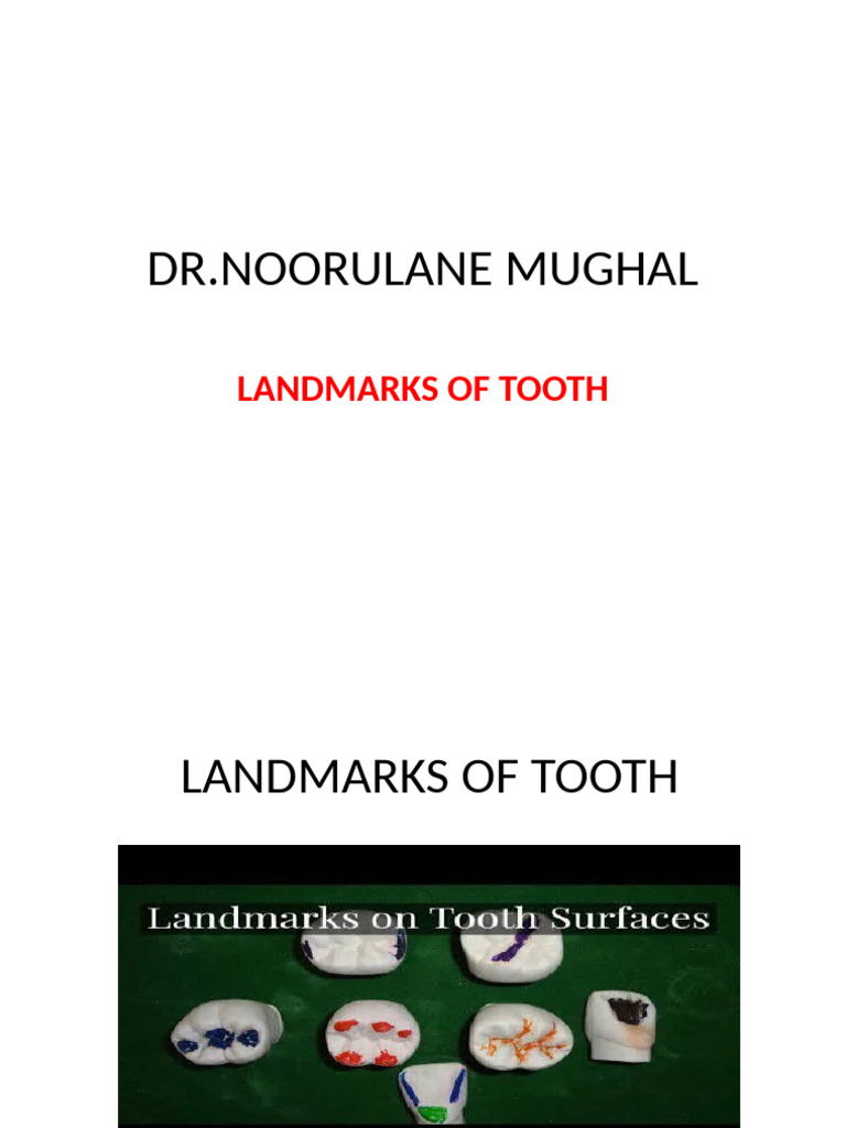 Ppt Landmarks of Tooth | PDF | Dentistry | Dentistry Branches