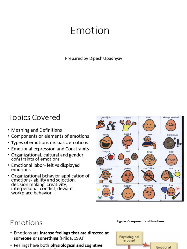 Unit 3.2 Emotion and Theories | PDF | Emotions | Fear