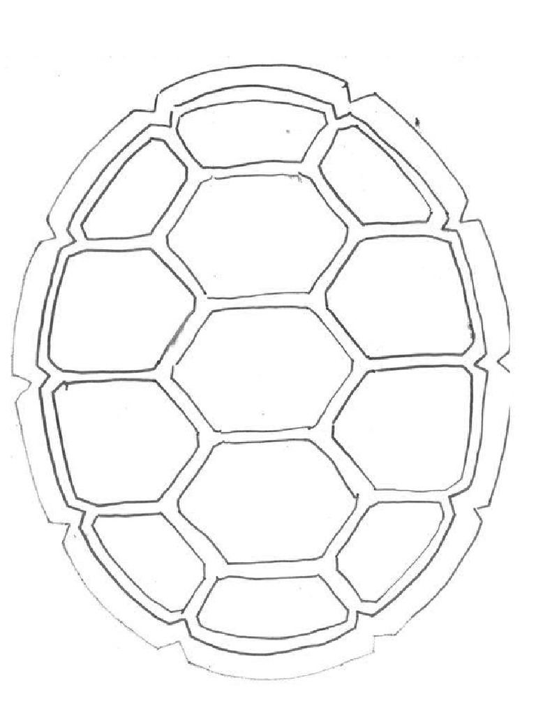 Gambar Cengkerang Kura-Kura | PDF