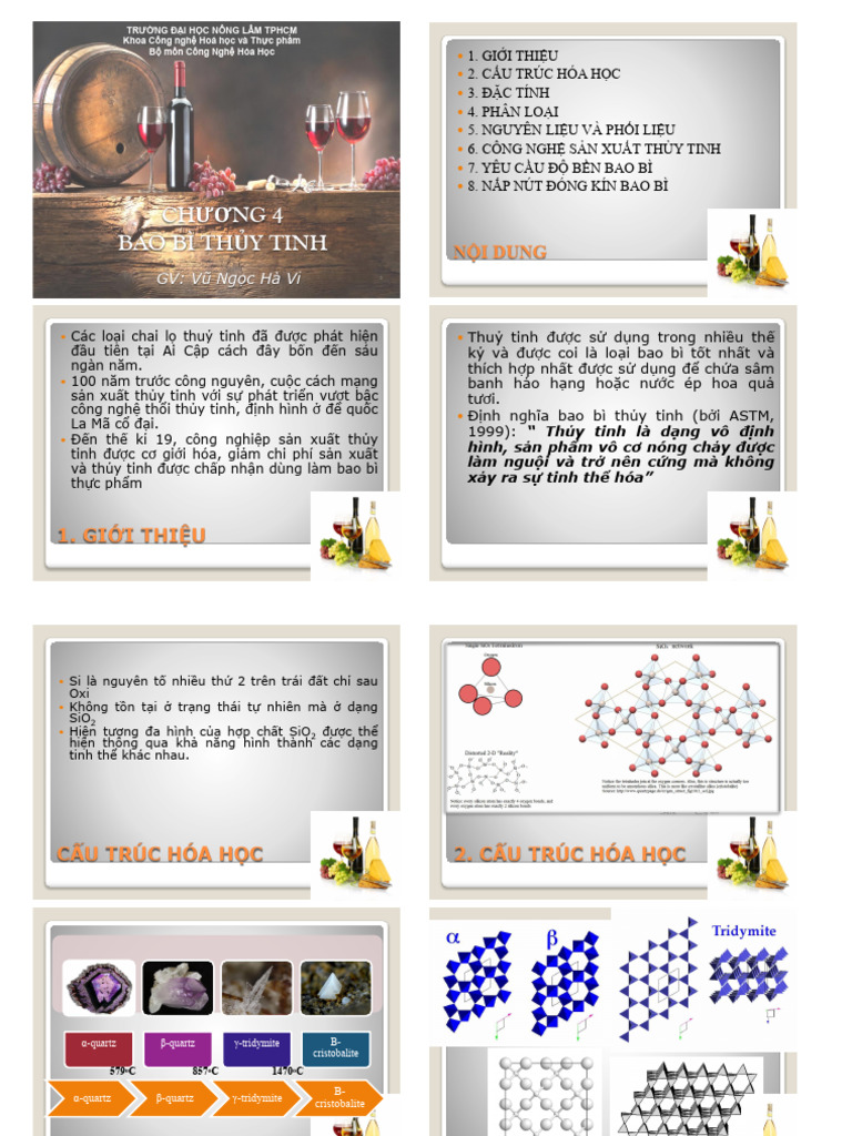 CH NG4 Bao Bì TH Y Tinh: N I Dung | PDF