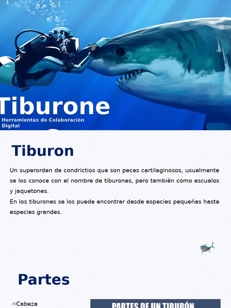 V8 Tiburones | PDF