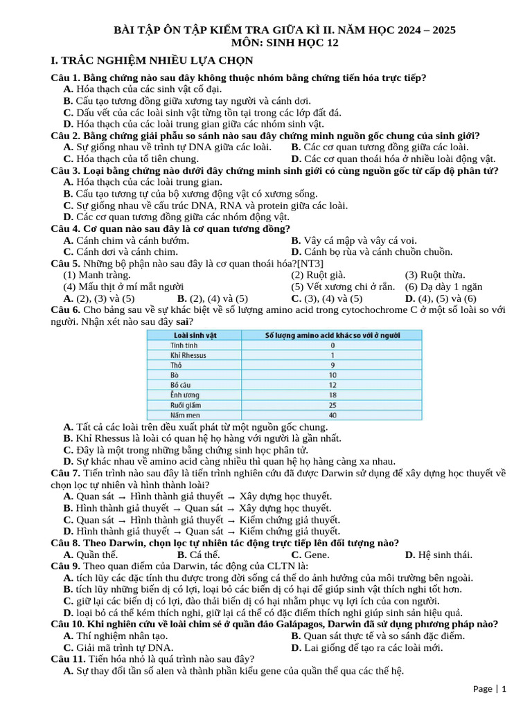 HS12 - On Tap Kiem Tra Giua Ky Ii | PDF