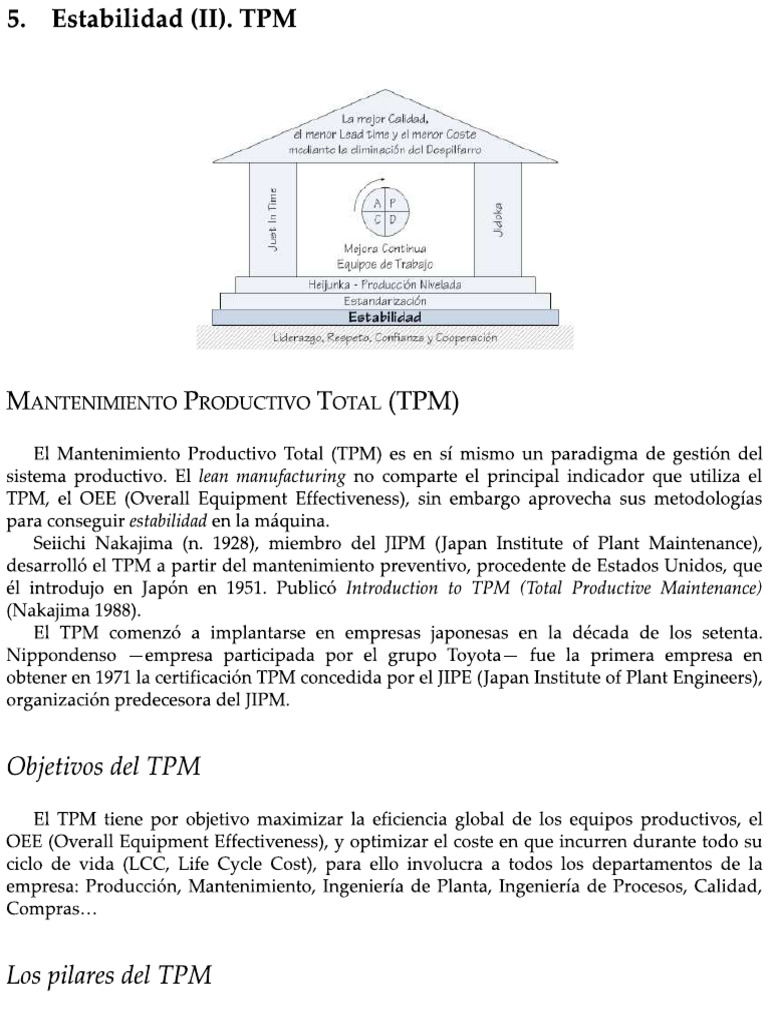 Capítulo 5 - TPM | PDF