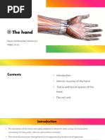 Palmar Hand Anatomy Overview | PDF | Hand | Musculoskeletal System