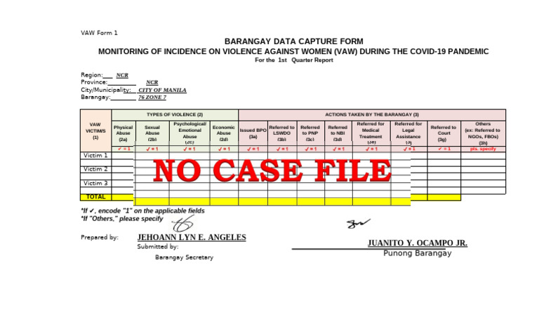 VAW_Barangay-Data-Capture-Form MAY | PDF