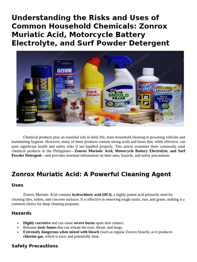 Understanding The Risks and Uses of Common Househ | PDF | Hydrochloric ...