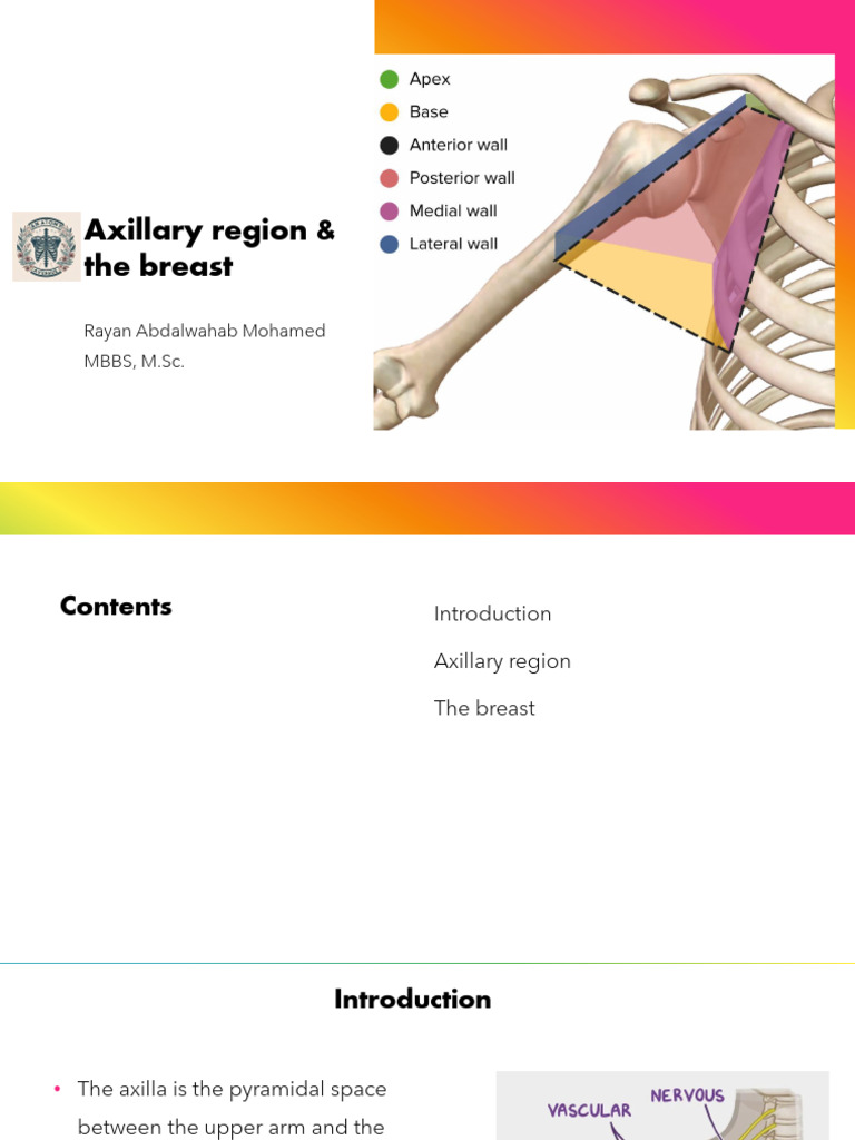 Axillary Region and Breast Anatomy | PDF | Breast | Vein