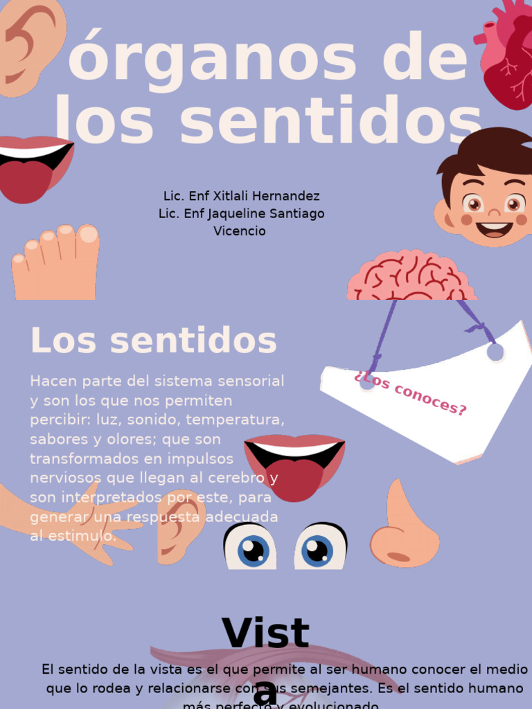 Sentido Del Cuerpo Humano | PDF | Oído | Ojo humano
