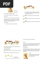 Reglas del Juego del Regalo Robado | PDF