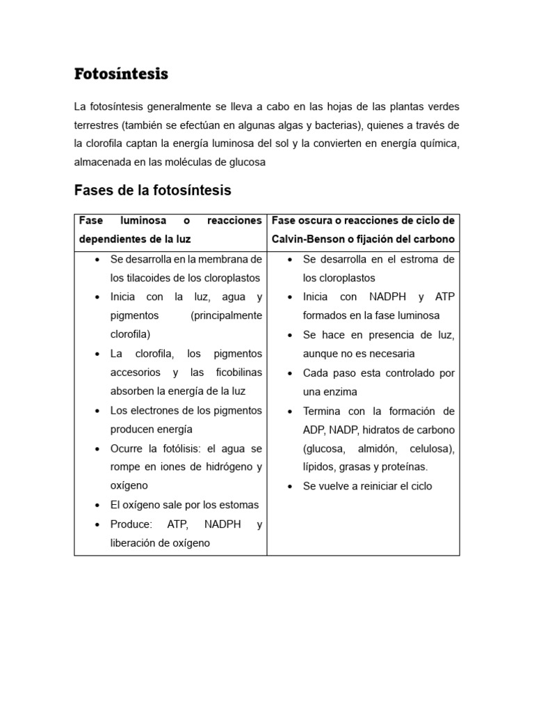 Fotosíntesis y respiración celular | PDF | Trifosfato de adenosina ...