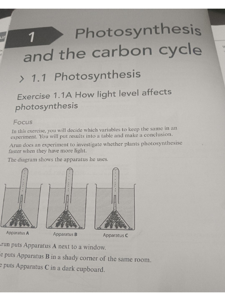 Chapter 1 Workbook | PDF