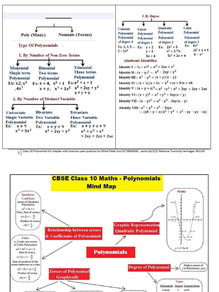 Class 10 Polynomial Chapter Guide | PDF