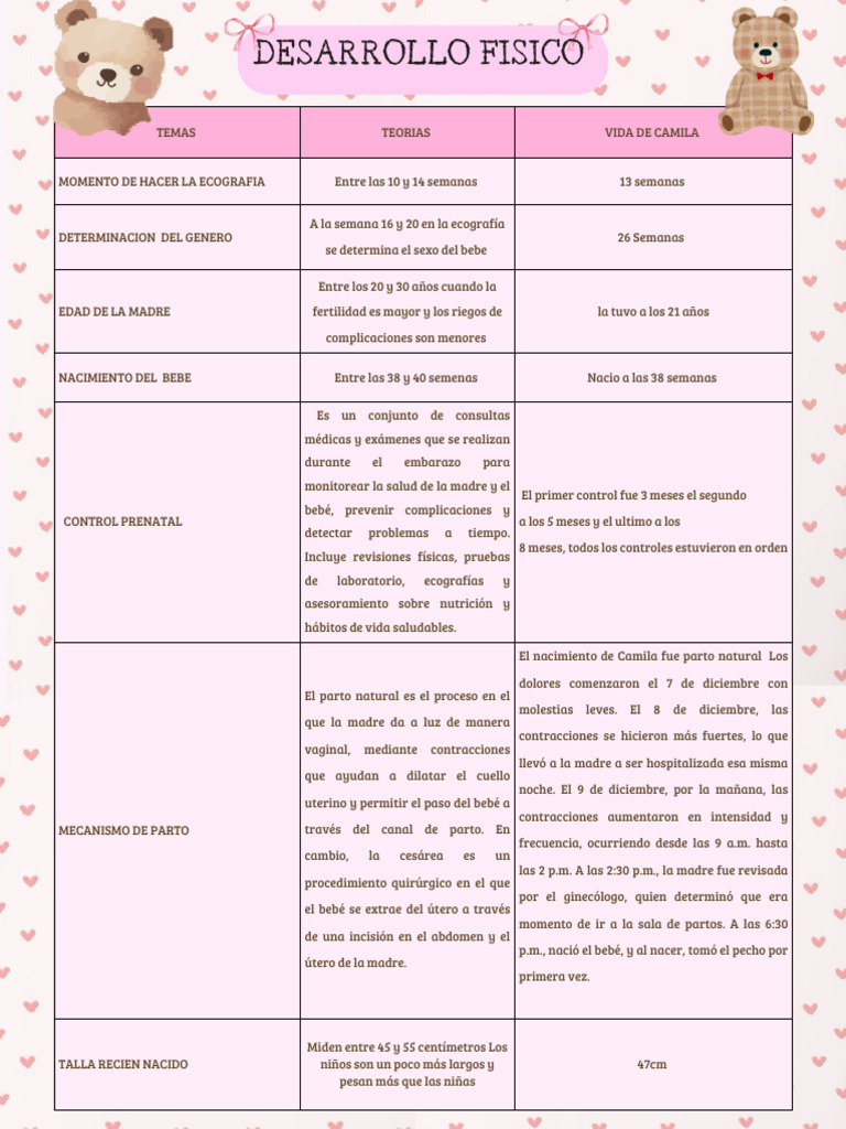 Tapa de Cuaderno de Notas Bonito Femenino Rosa Pastel | PDF | Parto ...