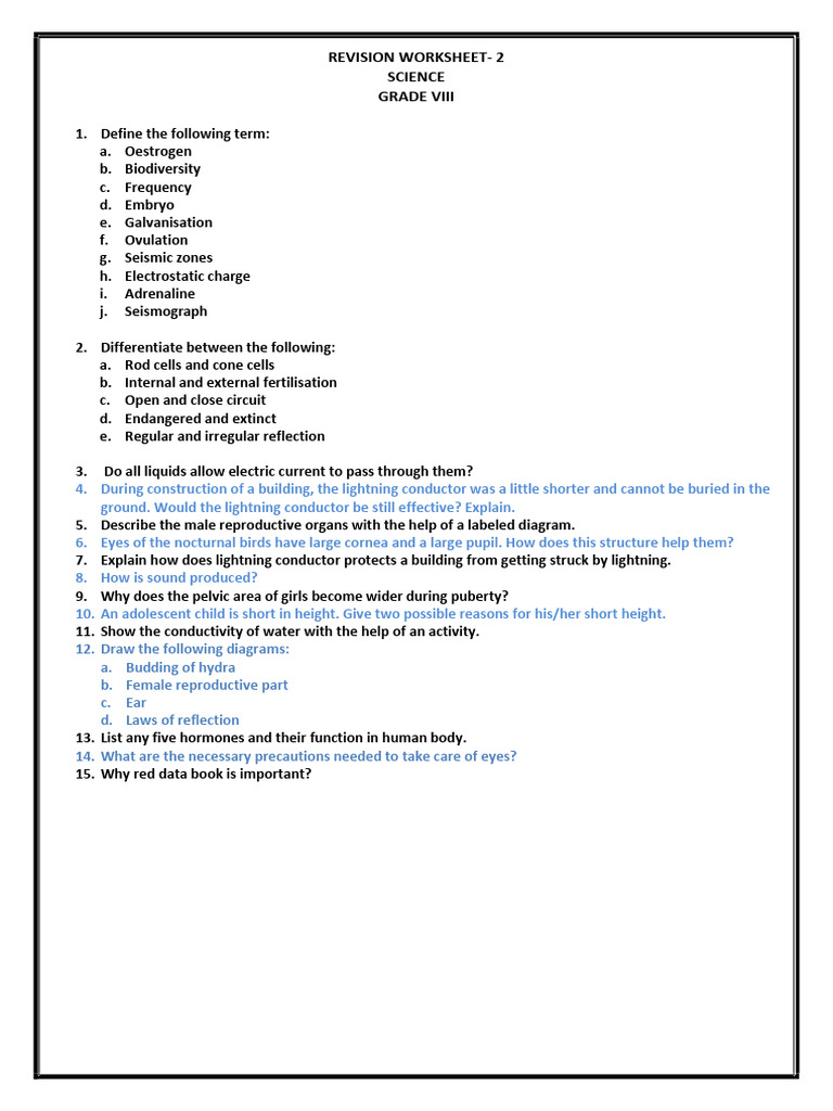 Revision Worskheet 2 FT 8 | PDF
