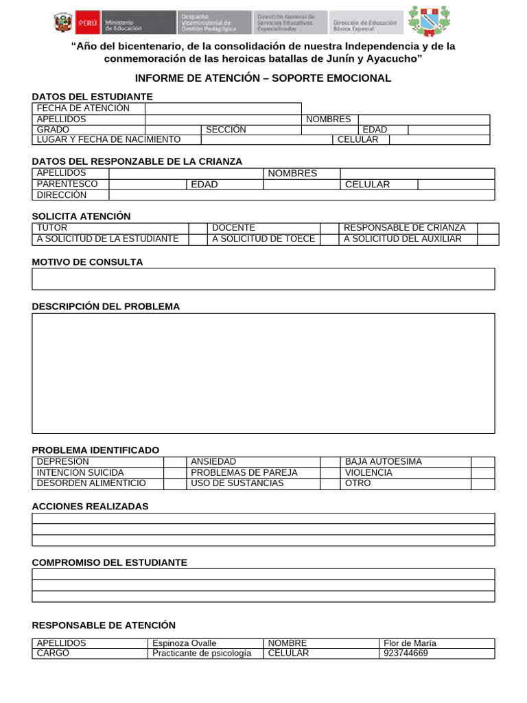 Ficha De Informe De Atención Pdf