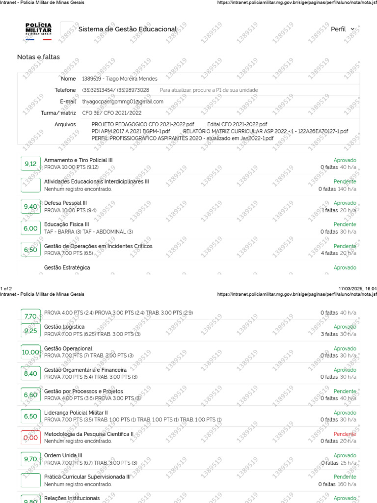 Notas e Faltas - CFO III 2022 | PDF