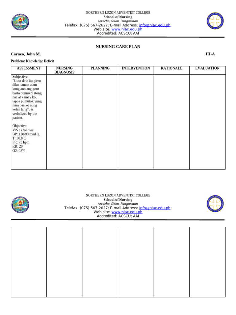 Nursing Care Plan Model Format Case Presentation | PDF