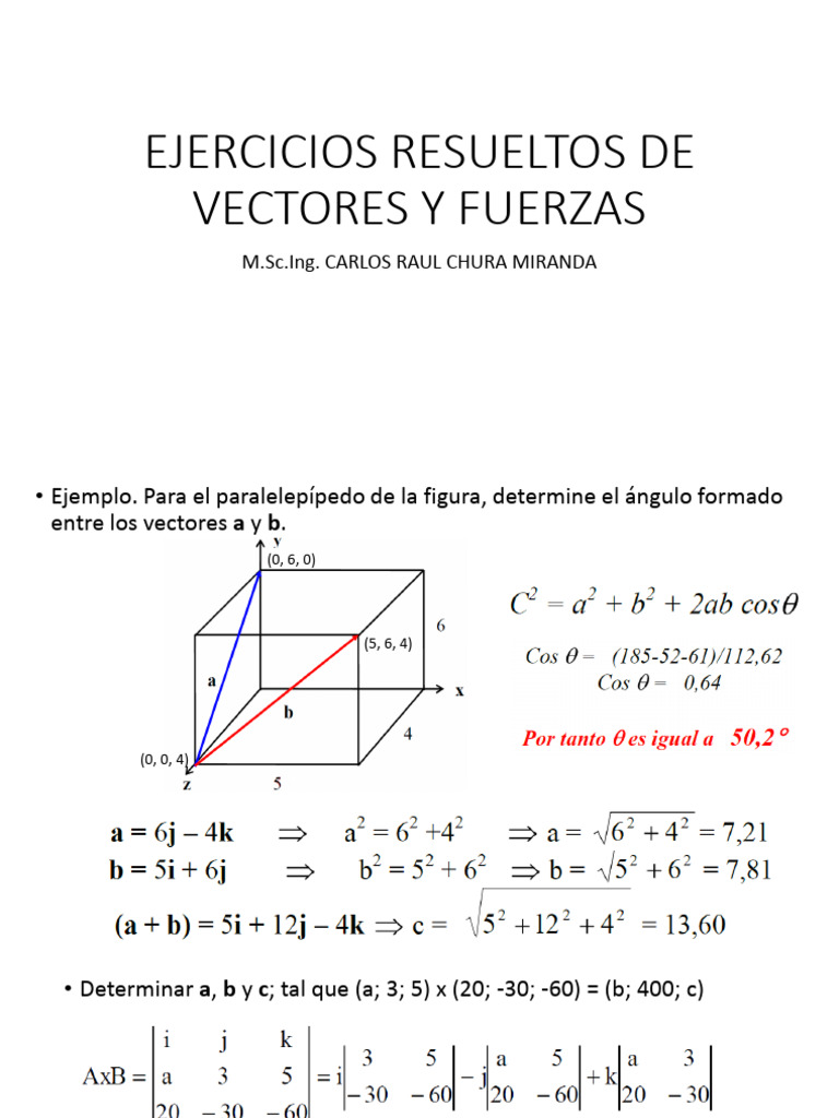 Ejercicios Resueltos de Vectores y Fuerzas | PDF | Vector Euclidiano | Euclides