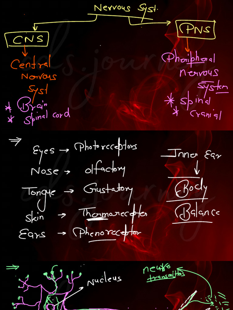 Control+heredity Rough | PDF
