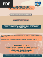 Tipos de Cemento Radicular: Acelular y Celular | PDF | Ramas de ...