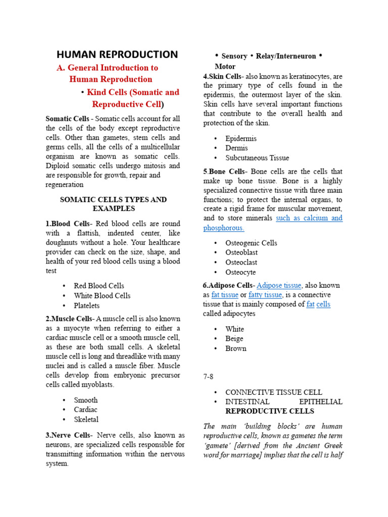 General Introduction To Human Reproduction | PDF | Mitosis | Endocrine ...