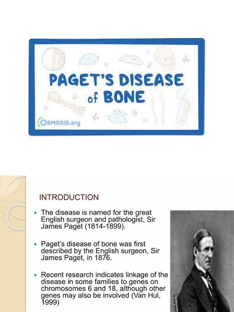 Paget's Disease | PDF