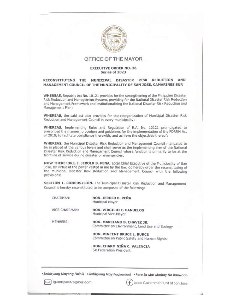 1.1 Establishment of LDRRMC | PDF