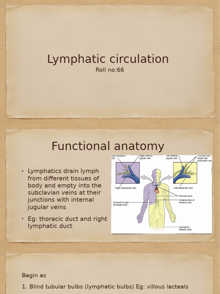 Lymphatic Circulation - 66 | PDF | Lymph | Capillary
