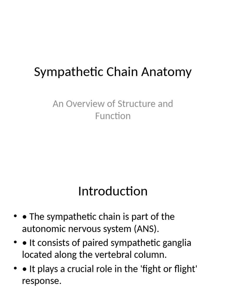 Sympathetic Chain Anatomy | PDF