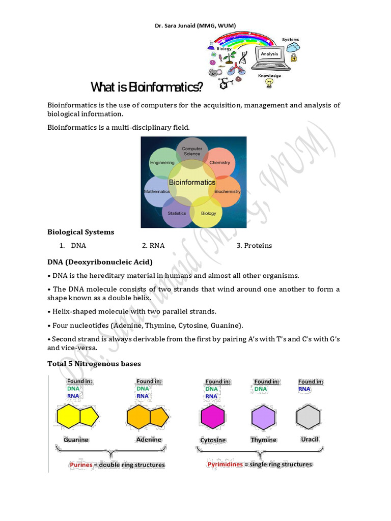 What Is Bioinformatics | PDF | Rna | Dna