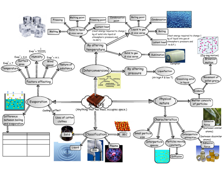 Mind Map: Matter in Class 9 Science | PDF | Liquids | Gases