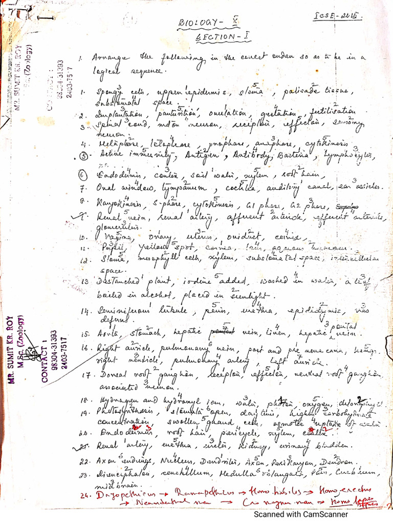 Logical Sequence | PDF
