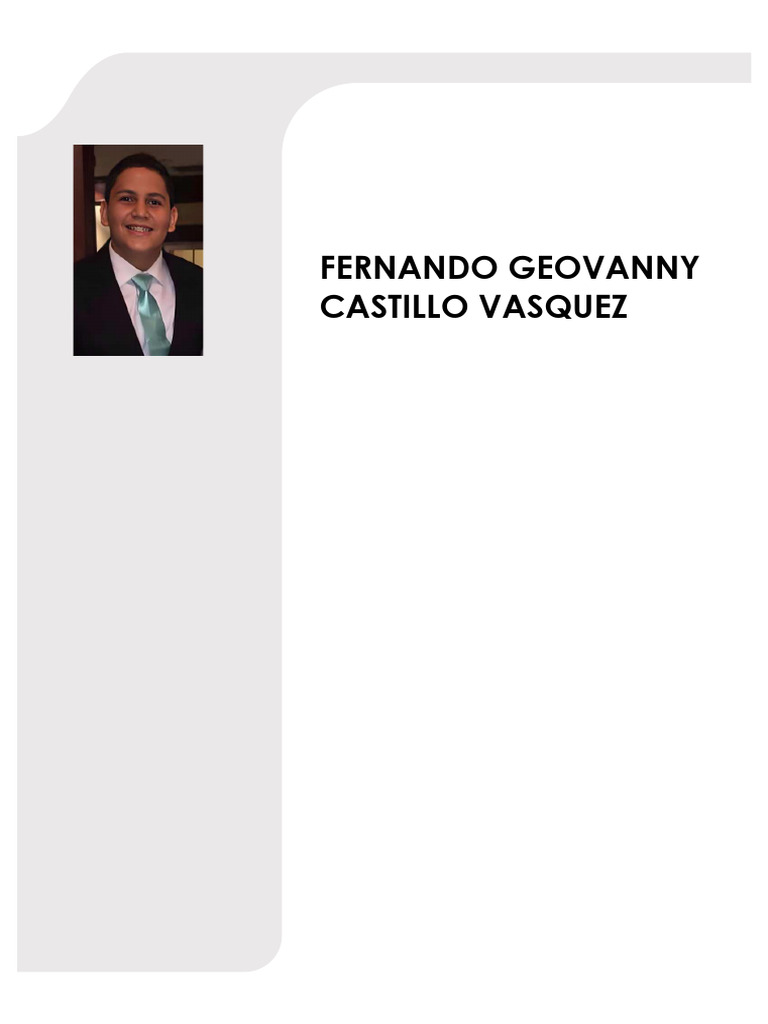 Curriculum - Fernando Castillo | PDF