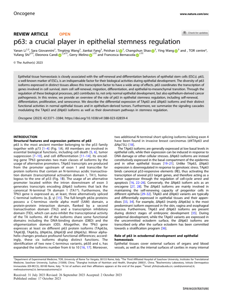 p63: A Crucial Player in Epithelial Stemness Regulation: Oncogene | PDF | Cellular ...