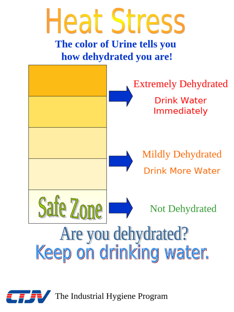 Heat Stress Poster | PDF