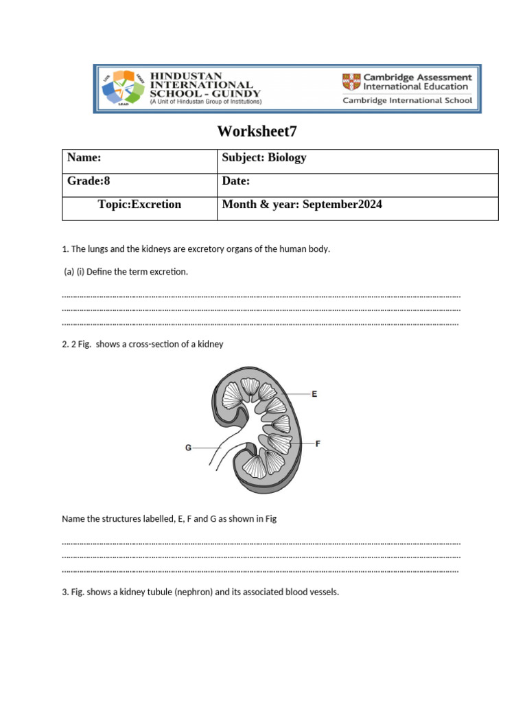 G8 Worksheet 7 08092024195857 94 | PDF