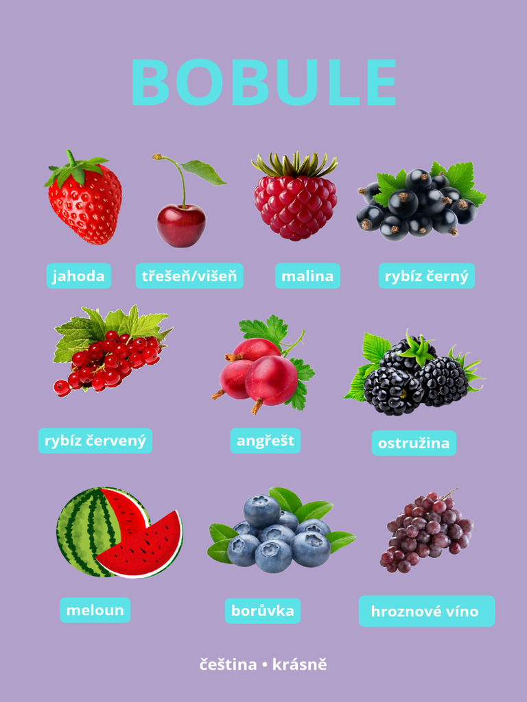 Bobule.pdf 2 | PDF